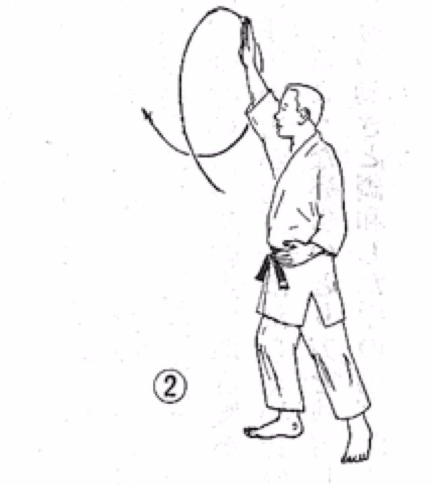 Atemi and tegatana – Study Group Tomiki Aikido