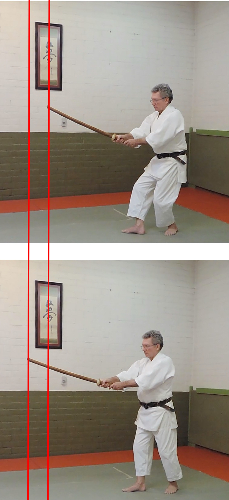 The effect of koshi-mawari – Study Group Tomiki Aikido