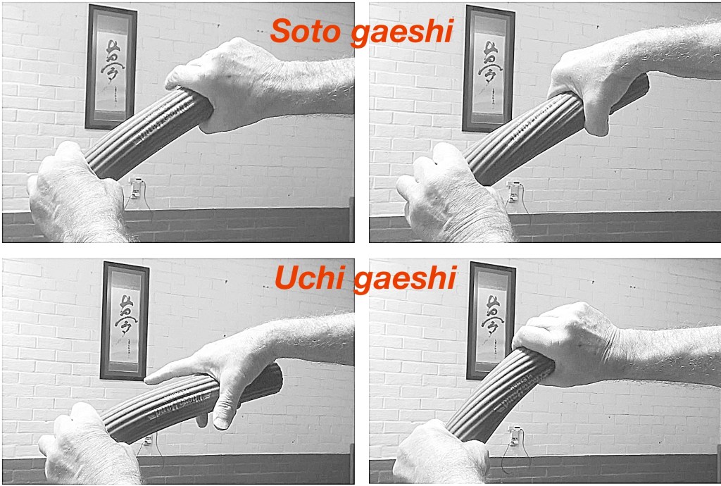 flexbar-uchi-gaeshi-soto-gaeshi – Study Group Tomiki Aikido