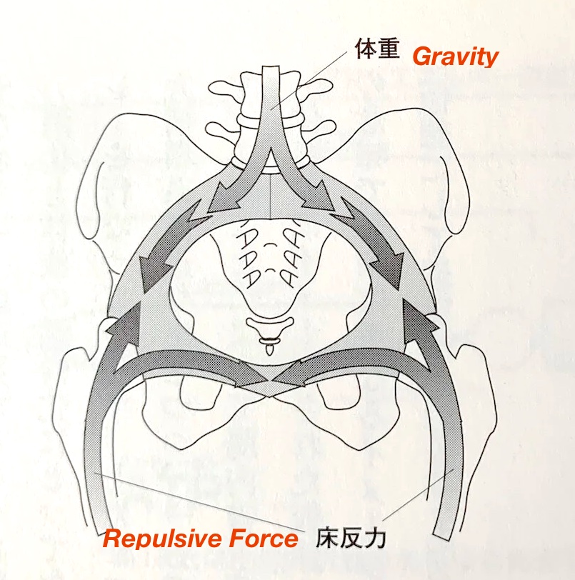 Budo Theory – Study Group Tomiki Aikido