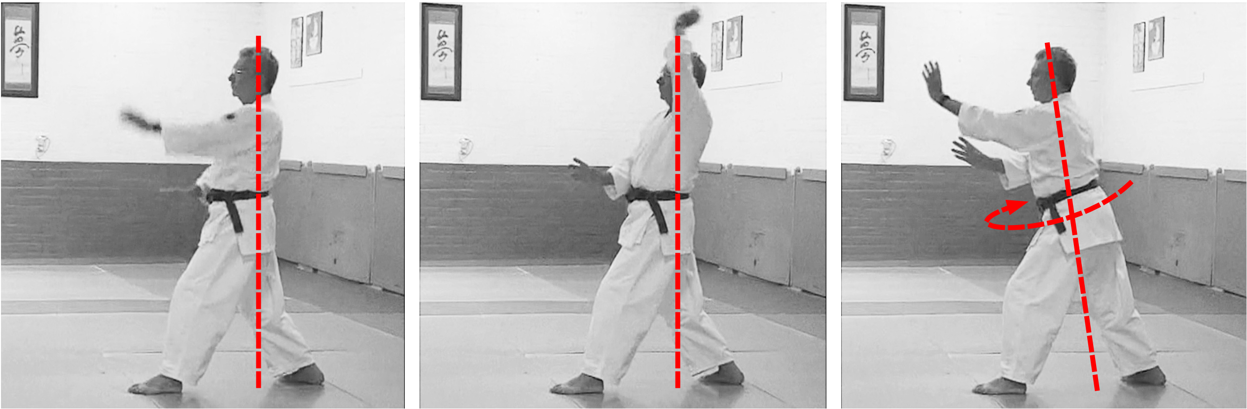 shomen-uchi – Study Group Tomiki Aikido